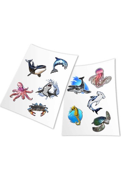 Junoo HoloToyz Sticker Super Sea Creatures AR Uyumlu Etiket