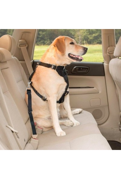 Ankaflex Köpek Araba Emniyet Kemeri Evcil Hayvan Oto Tasması-Siyah Ankaflex Köpek Araba Emniyet Kemeri Evcil Hayvan Oto Tasması-Siyah