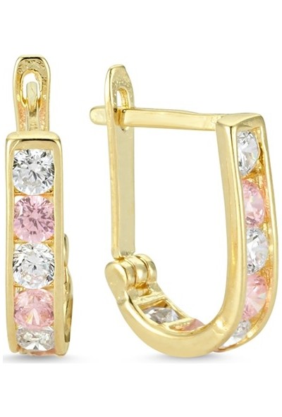 Trend Takı Group Pembe Taşlı Altın Çocuk Küpesi (1,1)