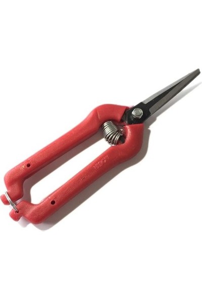 Asparlar Meyve Toplama Makası Ekonomik (Üzüm, Çilek Vb.) Asparlar Meyve Toplama Makası Ekonomik (Üzüm, Çilek Vb.)