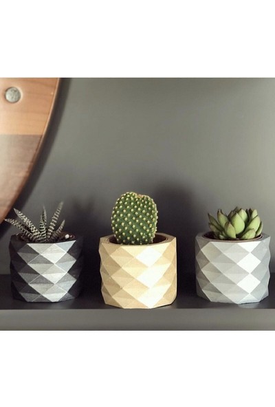 Sanat Concept Beton Kaktüs ve Sukulentlik 3'lü Set Takım ( Antrasit-Bej-Siyah) Sanat Concept Beton Kaktüs ve Sukulentlik 3'lü Set Takım ( Antrasit-Bej-Siyah)