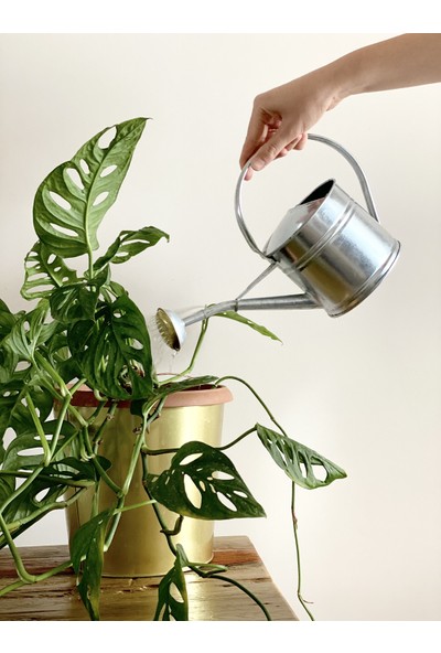 Milena Home Galvaniz Bitki Sulama Kabı 1.2 Litre Milena Home Galvaniz Bitki Sulama Kabı 1.2 Litre