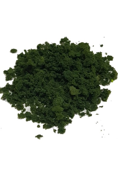 Vox Art Maket Ağaç Tozu - Kırpıntı Sünger - 20 gr Koyu Yeşil Vox Art Maket Ağaç Tozu - Kırpıntı Sünger - 20 gr Koyu Yeşil