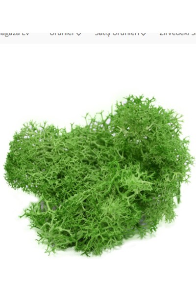 Vox Art Yosun Maket Ağaç ve Çalılık Için - 20 gr Yeşil