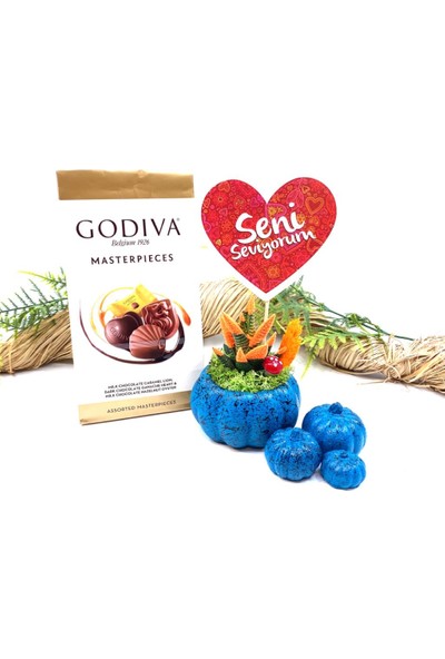 Mega Kanyon Canlı Turuncu Sukulentli (Haworthia) Balkabağı ve Godiva Çikolata Aranjmanı M6 Mega Kanyon Canlı Turuncu Sukulentli (Haworthia) Balkabağı ve Godiva Çikolata Aranjmanı M6