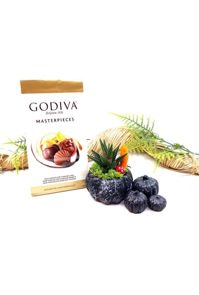 Mega Kanyon Canlı Sukulentli (Haworthia) Balkabağı ve Godiva Çikolata Aranjmanı M9