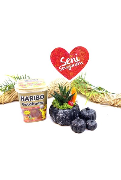 Mega Kanyon Canlı Sukulentli (Haworthia) Balkabağı ve Haribo Aranjmanı M10