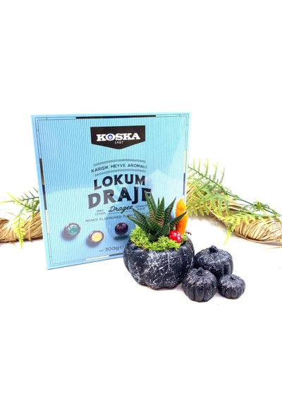 Mega Kanyon Canlı Sukulentli (Haworthia) Balkabağı ve Meyveli Lokum Aranjmanı M9