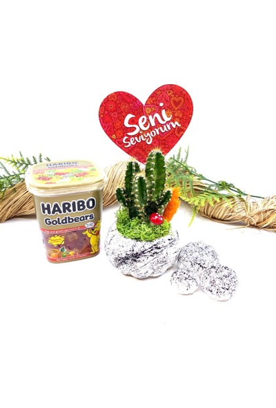 Mega Kanyon Canlı Mexico Kaktüslü Balkabağı ve Haribo Aranjmanı M4