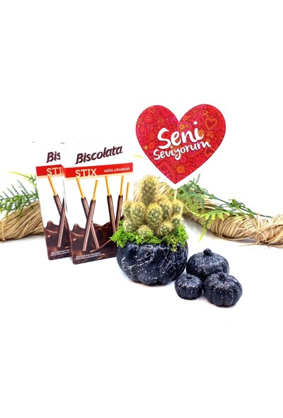 Mega Kanyon Canlı Mammillaria Kaktüslü Balkabağı ve Çikolata Aranjmanı M4