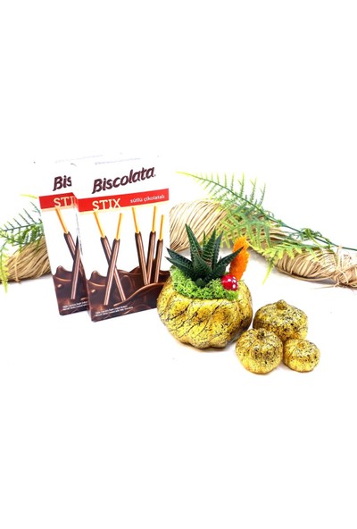 Mega Kanyon Canlı Sukulentli (Haworthia) Balkabağı ve Çikolata Aranjmanı M1