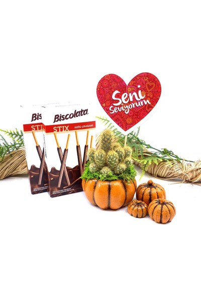 Mega Kanyon Canlı Mammillaria Kaktüslü Balkabağı ve Çikolata Aranjmanı M2