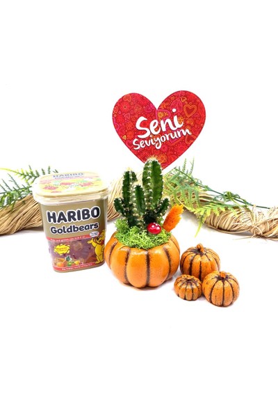 Mega Kanyon Canlı Mexico Kaktüslü Balkabağı ve Haribo Aranjmanı M8