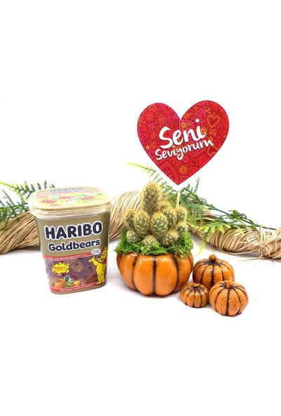 Mega Kanyon Canlı Mammillaria Kaktüslü Balkabağı ve Haribo Aranjmanı M2