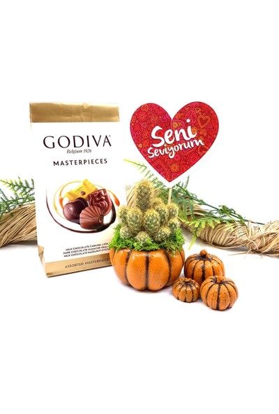 Mega Kanyon Canlı Mammillaria Kaktüslü Balkabağı ve Godiva Çikolata Aranjmanı M2