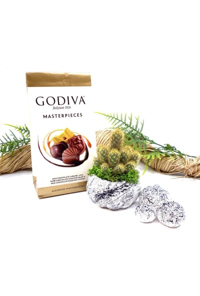 Mega Kanyon Canlı Mammillaria Kaktüslü Balkabağı ve Godiva Çikolata Aranjmanı M9