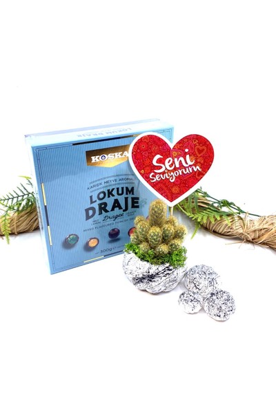 Mega Kanyon Canlı Mammillaria Kaktüslü Balkabağı ve Meyveli Lokum Aranjmanı M10