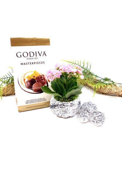 Mega Kanyon Canlı Kalanchoe Çiçekli Balkabağı ve Godiva Çikolata Aranjmanı M3