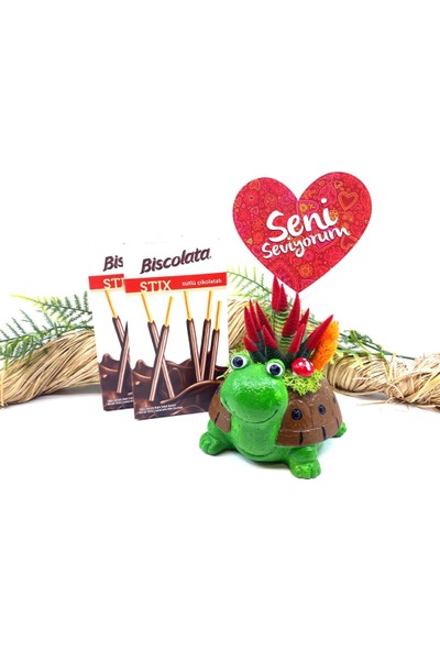 Mega Kanyon Canlı Kırmızı Sukulentli (Haworthia) Sevimli Kaplumbağa ve Çikolata Aranjmanı M4 Mega Kanyon Canlı Kırmızı Sukulentli (Haworthia) Sevimli Kaplumbağa ve Çikolata Aranjmanı M4