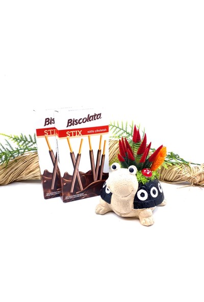 Mega Kanyon Canlı Kırmızı Sukulentli (Haworthia) Sevimli Kaplumbağa ve Çikolata Aranjmanı M13 Mega Kanyon Canlı Kırmızı Sukulentli (Haworthia) Sevimli Kaplumbağa ve Çikolata Aranjmanı M13