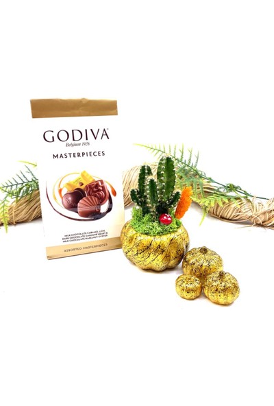 Mega Kanyon Canlı Mexico Kaktüslü Balkabağı ve Godiva Çikolata Aranjmanı M5