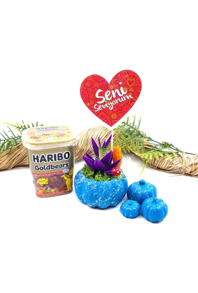 Mega Kanyon Canlı Mor Sukulentli (Haworthia) Balkabağı ve Haribo Aranjmanı M2