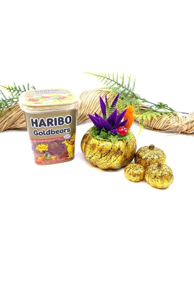 Mega Kanyon Canlı Mor Sukulentli (Haworthia) Balkabağı ve Haribo Aranjmanı M7