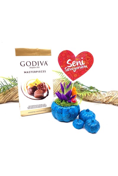 Mega Kanyon Canlı Mor Sukulentli (Haworthia) Balkabağı ve Godiva Çikolata Aranjmanı M6