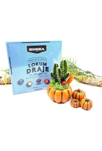 Mega Kanyon Canlı Mexico Kaktüslü Balkabağı ve Meyveli Lokum Aranjmanı M7