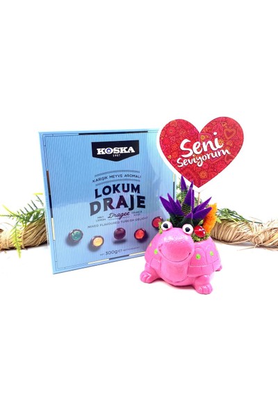 Mega Kanyon Canlı Mor Sukulentli (Haworthia) Sevimli Kaplumbağa ve Meyveli Lokum Aranjmanı M8