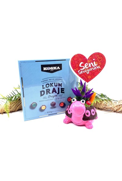 Mega Kanyon Canlı Mor Sukulentli (Haworthia) Sevimli Kaplumbağa ve Meyveli Lokum Aranjmanı M20