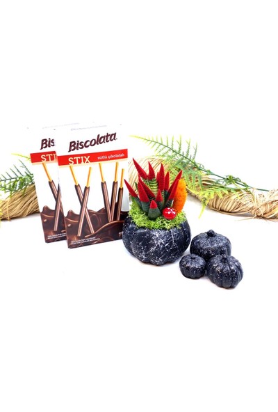 Mega Kanyon Canlı Kırmızı Sukulentli (Haworthia) Balkabağı ve Çikolata Aranjmanı M7 Mega Kanyon Canlı Kırmızı Sukulentli (Haworthia) Balkabağı ve Çikolata Aranjmanı M7