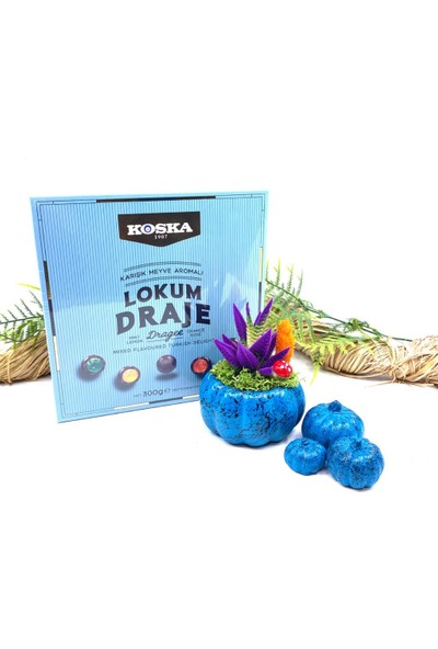 Mega Kanyon Canlı Mor Sukulentli (Haworthia) Balkabağı ve Meyveli Lokum Aranjmanı M5