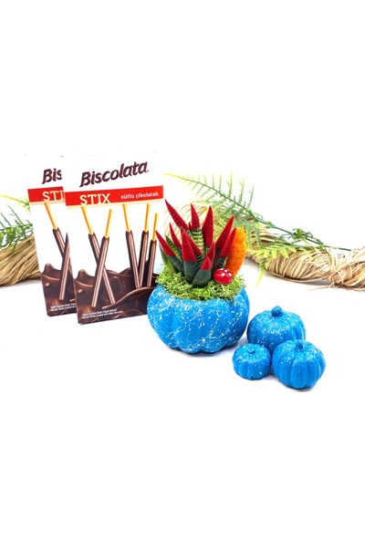 Mega Kanyon Canlı Kırmızı Sukulentli (Haworthia) Balkabağı ve Çikolata Aranjmanı M11 Mega Kanyon Canlı Kırmızı Sukulentli (Haworthia) Balkabağı ve Çikolata Aranjmanı M11