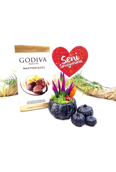 Mega Kanyon Canlı Pembe Sukulentli (Haworthia) Balkabağı ve Godiva Çikolata Aranjmanı M8