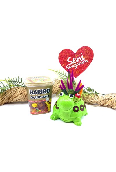 Mega Kanyon Canlı Pembe Sukulentli (Haworthia) Sevimli Kaplumbağa ve Haribo Aranjmanı M10 Mega Kanyon Canlı Pembe Sukulentli (Haworthia) Sevimli Kaplumbağa ve Haribo Aranjmanı M10