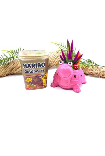 Mega Kanyon Canlı Pembe Sukulentli (Haworthia) Sevimli Kaplumbağa ve Haribo Aranjmanı M21 Mega Kanyon Canlı Pembe Sukulentli (Haworthia) Sevimli Kaplumbağa ve Haribo Aranjmanı M21