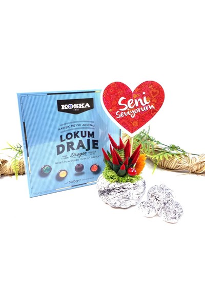 Mega Kanyon Canlı Kırmızı Sukulentli (Haworthia) Balkabağı ve Meyveli Lokum Aranjmanı M2 Mega Kanyon Canlı Kırmızı Sukulentli (Haworthia) Balkabağı ve Meyveli Lokum Aranjmanı M2