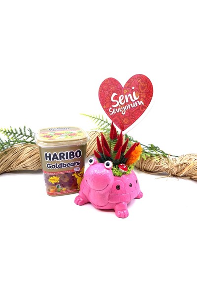 Mega Kanyon Canlı Kırmızı Sukulentli (Haworthia) Sevimli Kaplumbağa ve Haribo Aranjmanı M22 Mega Kanyon Canlı Kırmızı Sukulentli (Haworthia) Sevimli Kaplumbağa ve Haribo Aranjmanı M22