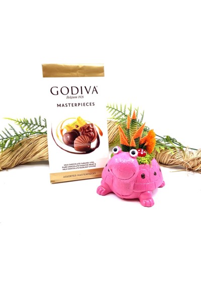 Mega Kanyon Canlı Turuncu Sukulentli (Haworthia) Sevimli Kaplumbağa ve Godiva Çikolata Aranjmanı M5 Mega Kanyon Canlı Turuncu Sukulentli (Haworthia) Sevimli Kaplumbağa ve Godiva Çikolata Aranjmanı M5