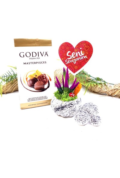 Mega Kanyon Canlı Pembe Sukulentli (Haworthia) Balkabağı ve Godiva Çikolata Aranjmanı M12