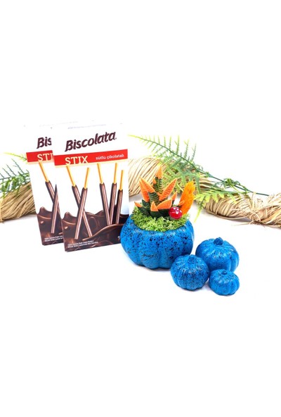 Mega Kanyon Canlı Turuncu Sukulentli (Haworthia) Balkabağı ve Çikolata Aranjmanı M5 Mega Kanyon Canlı Turuncu Sukulentli (Haworthia) Balkabağı ve Çikolata Aranjmanı M5