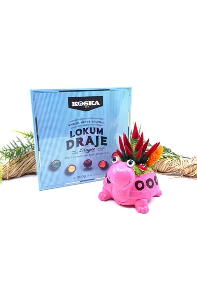 Mega Kanyon Canlı Kırmızı Sukulentli (Haworthia) Sevimli Kaplumbağa ve Meyveli Lokum Aranjmanı M11 Mega Kanyon Canlı Kırmızı Sukulentli (Haworthia) Sevimli Kaplumbağa ve Meyveli Lokum Aranjmanı M11