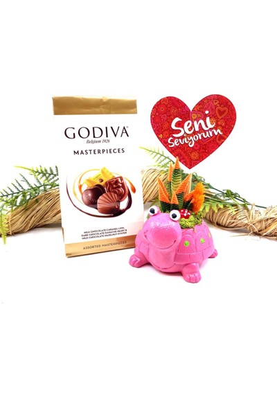 Mega Kanyon Canlı Turuncu Sukulentli (Haworthia) Sevimli Kaplumbağa ve Godiva Çikolata Aranjmanı M10 Mega Kanyon Canlı Turuncu Sukulentli (Haworthia) Sevimli Kaplumbağa ve Godiva Çikolata Aranjmanı M10