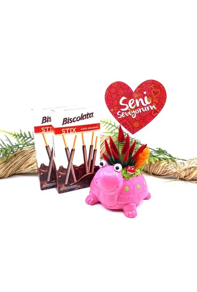 Mega Kanyon Canlı Kırmızı Sukulentli (Haworthia) Sevimli Kaplumbağa ve Çikolata Aranjmanı M18 Mega Kanyon Canlı Kırmızı Sukulentli (Haworthia) Sevimli Kaplumbağa ve Çikolata Aranjmanı M18