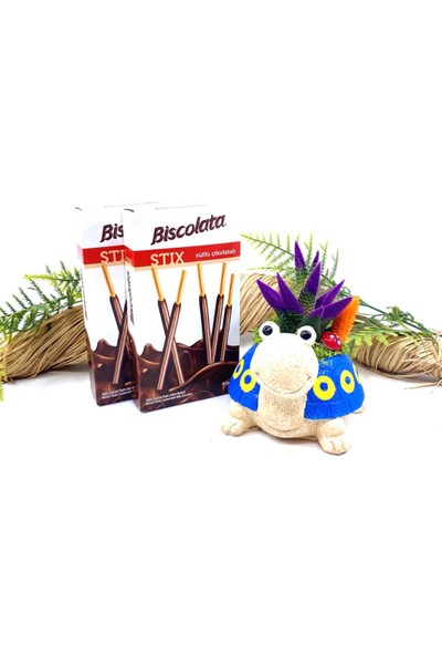 Mega Kanyon Canlı Mor Sukulentli (Haworthia) Sevimli Kaplumbağa ve Çikolata Aranjmanı M17