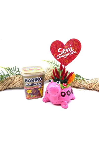 Mega Kanyon Canlı Kırmızı Sukulentli (Haworthia) Sevimli Kaplumbağa ve Haribo Aranjmanı M12 Mega Kanyon Canlı Kırmızı Sukulentli (Haworthia) Sevimli Kaplumbağa ve Haribo Aranjmanı M12