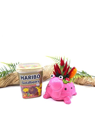 Mega Kanyon Canlı Kırmızı Sukulentli (Haworthia) Sevimli Kaplumbağa ve Haribo Aranjmanı M21 Mega Kanyon Canlı Kırmızı Sukulentli (Haworthia) Sevimli Kaplumbağa ve Haribo Aranjmanı M21