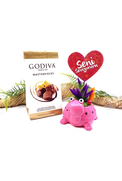 Mega Kanyon Canlı Mor Sukulentli (Haworthia) Sevimli Kaplumbağa ve Godiva Çikolata Aranjmanı M4