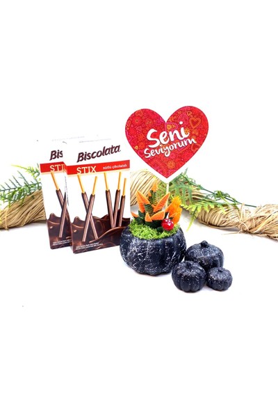 Mega Kanyon Canlı Turuncu Sukulentli (Haworthia) Balkabağı ve Çikolata Aranjmanı M8 Mega Kanyon Canlı Turuncu Sukulentli (Haworthia) Balkabağı ve Çikolata Aranjmanı M8